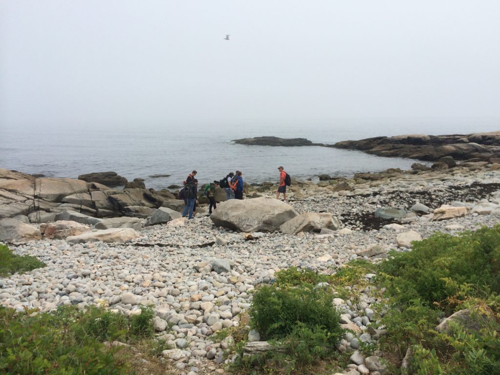 ESS on Schoodic cobble beach | Environmental Science Semester