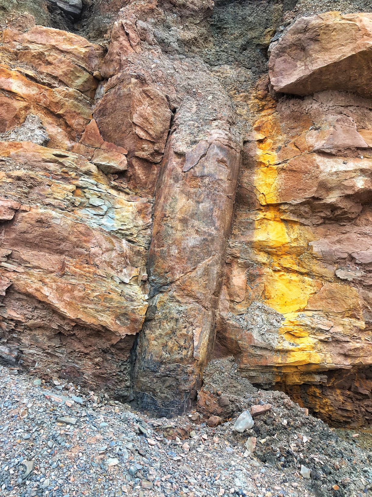 Halifax to Cape Cod: 3 States, 2 Countries, 1 Day | Environmental ...