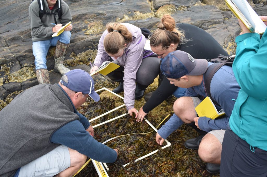 Creatures and Waves at the Rocky Intertidal Zone | Environmental ...