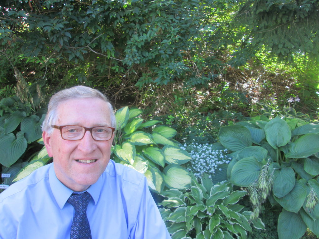 Haiku Abounds: Q&A With Professor Rielly – SJC Community